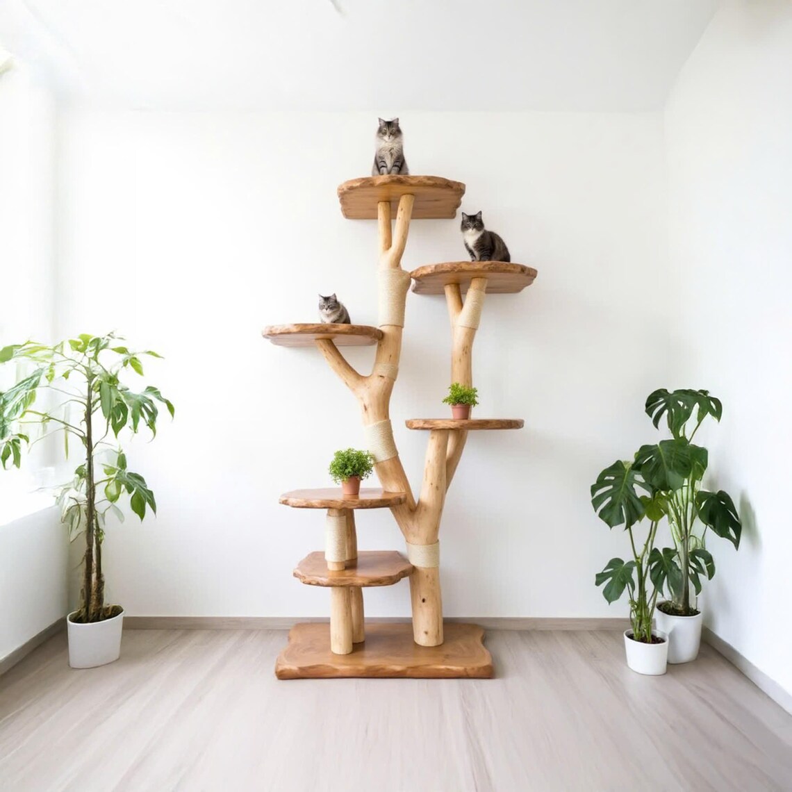 Solid Wood Cat Tree for Large Cat Natural Driftwood Scratching Post Cat ...