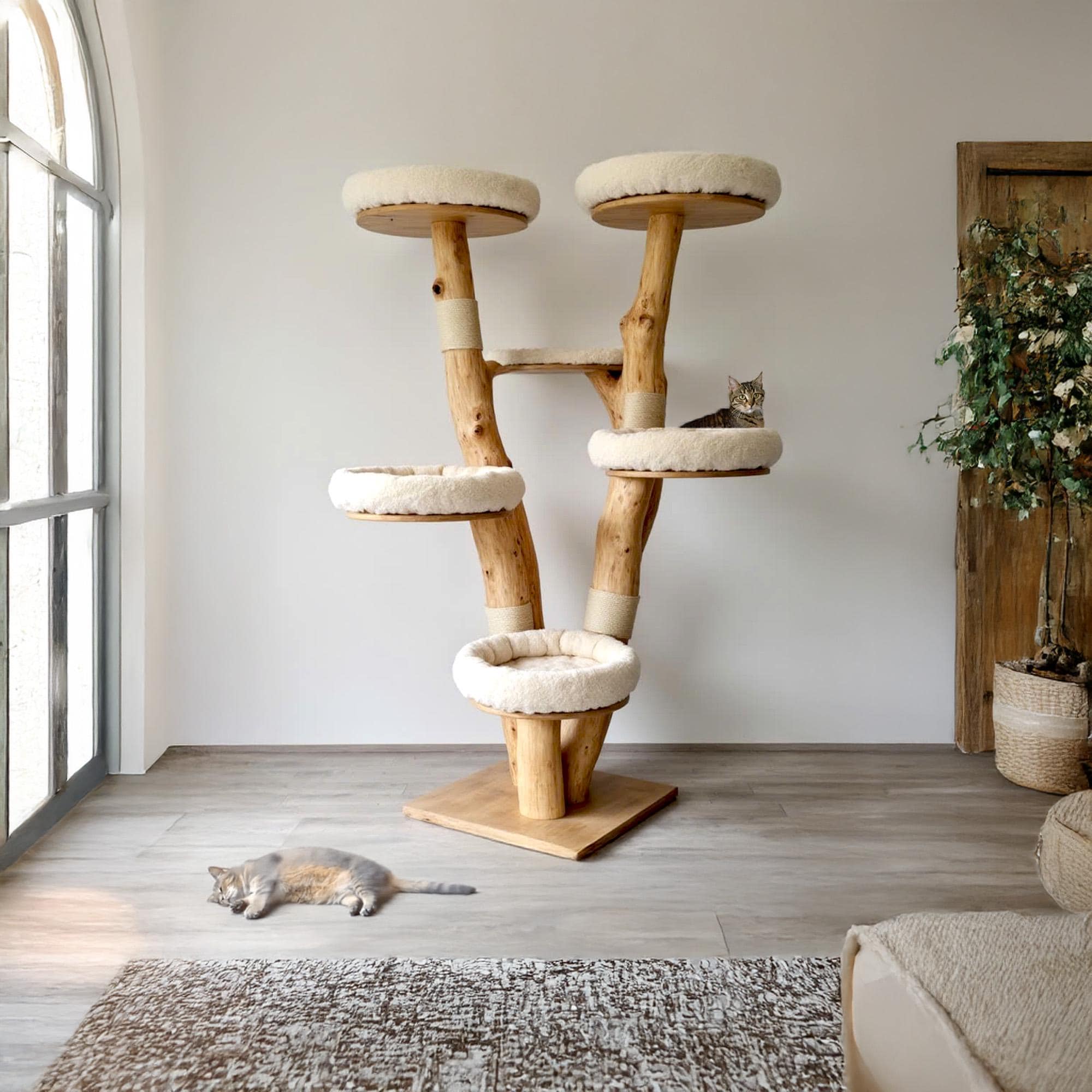 Solid Wood Cat Tree for Large Cat Driftwood Scratching Post Natural Cat ...