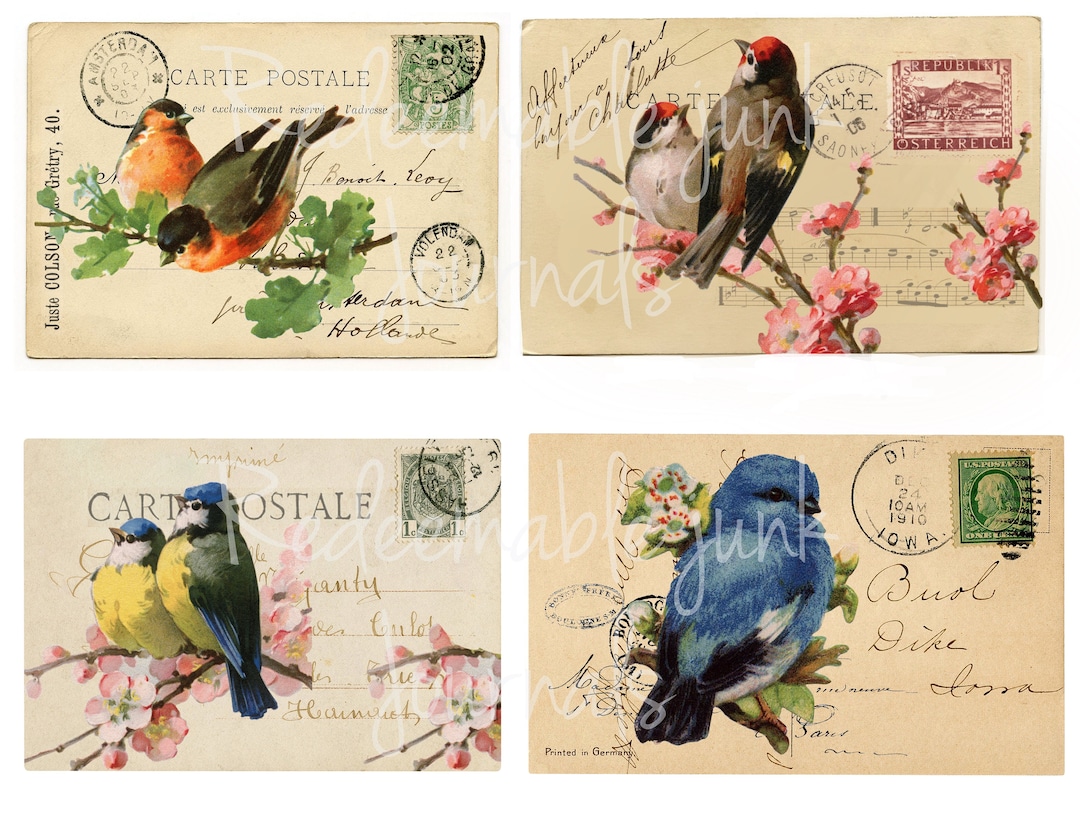 Birds Postcards, Printable Ephemera, Junk Journal Ephemera, Vintage ...
