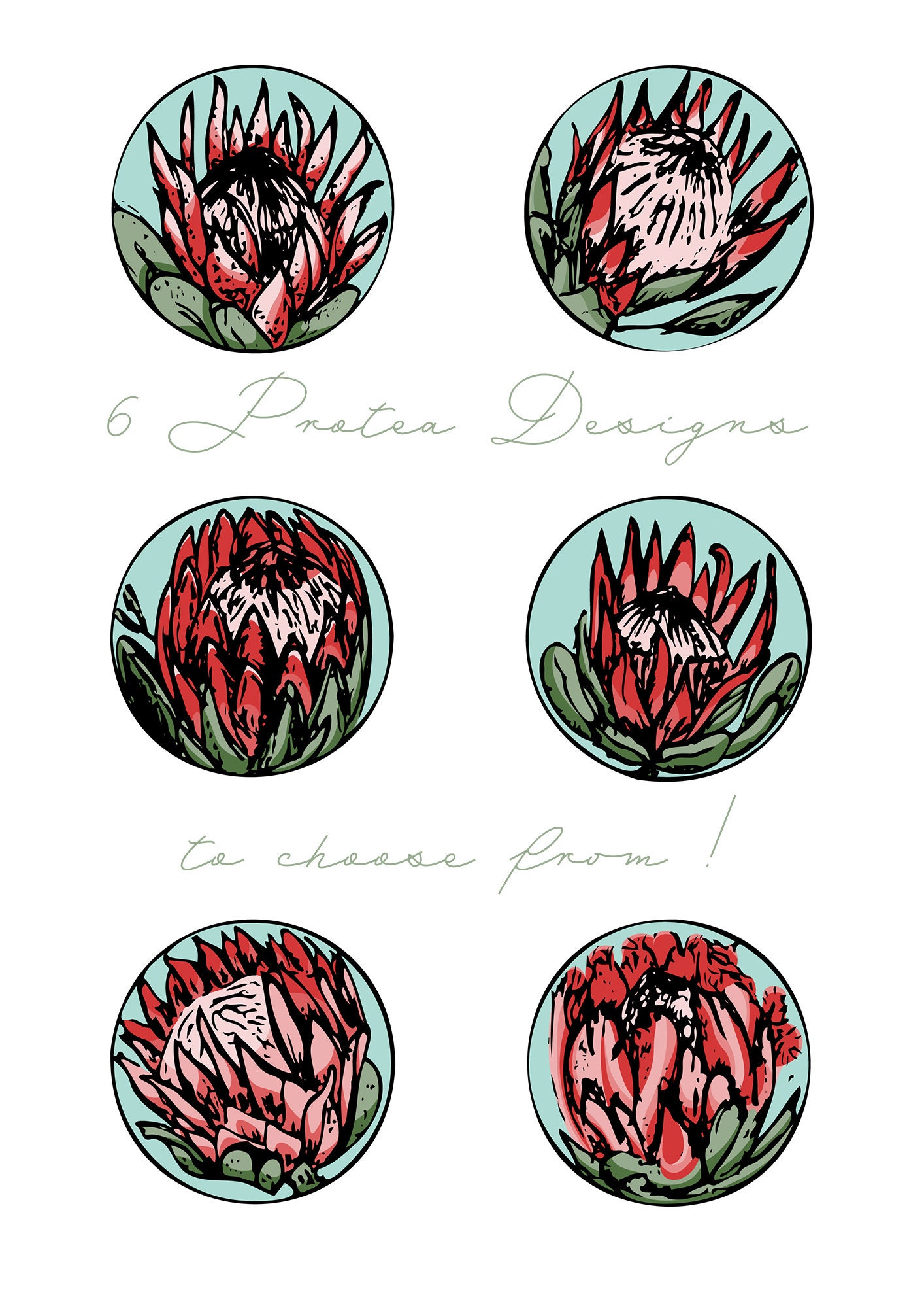 The Proteas 3 Colorful Protea Printable Digital Art, Flower, Modern ...