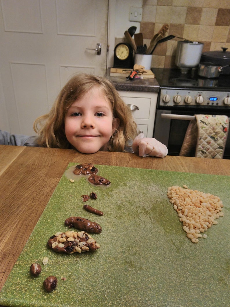 Bake off Lab Science Experiment Kit - Etsy UK