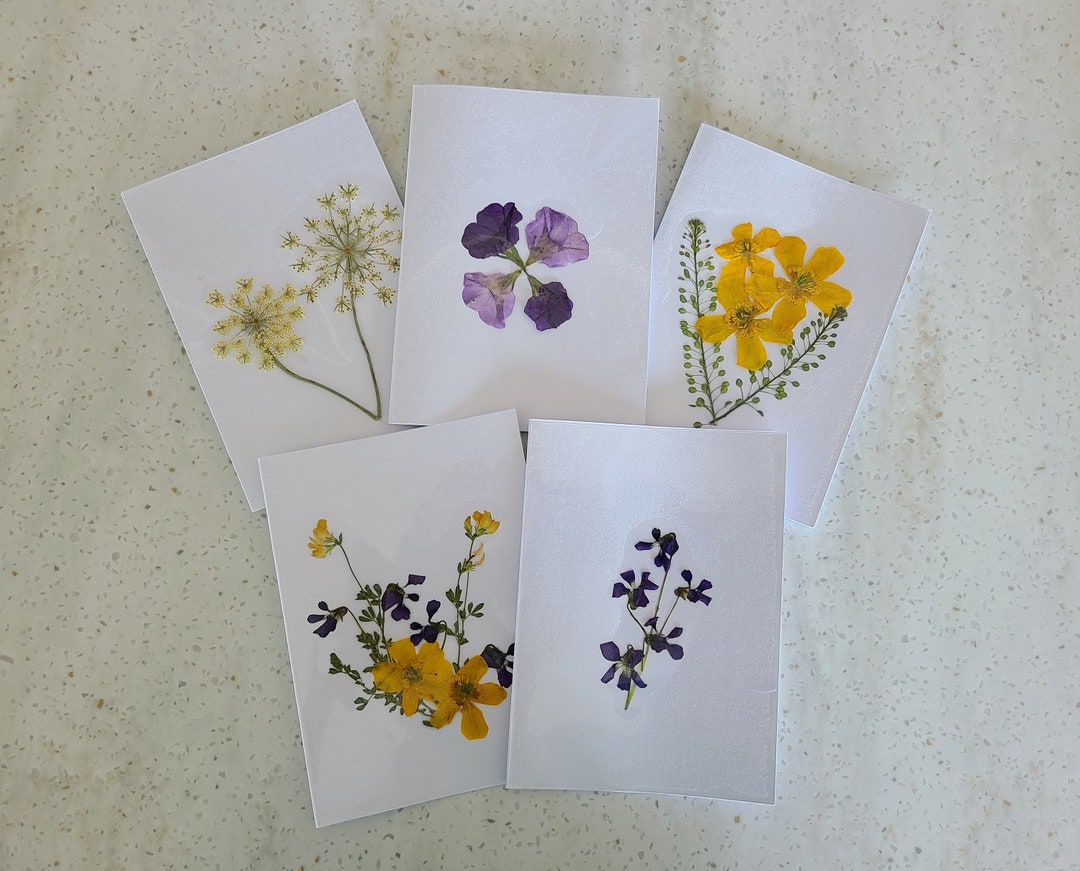 Pressed Flower Note Cards, Real Dried Flowers, Blank Greeting Card - Etsy