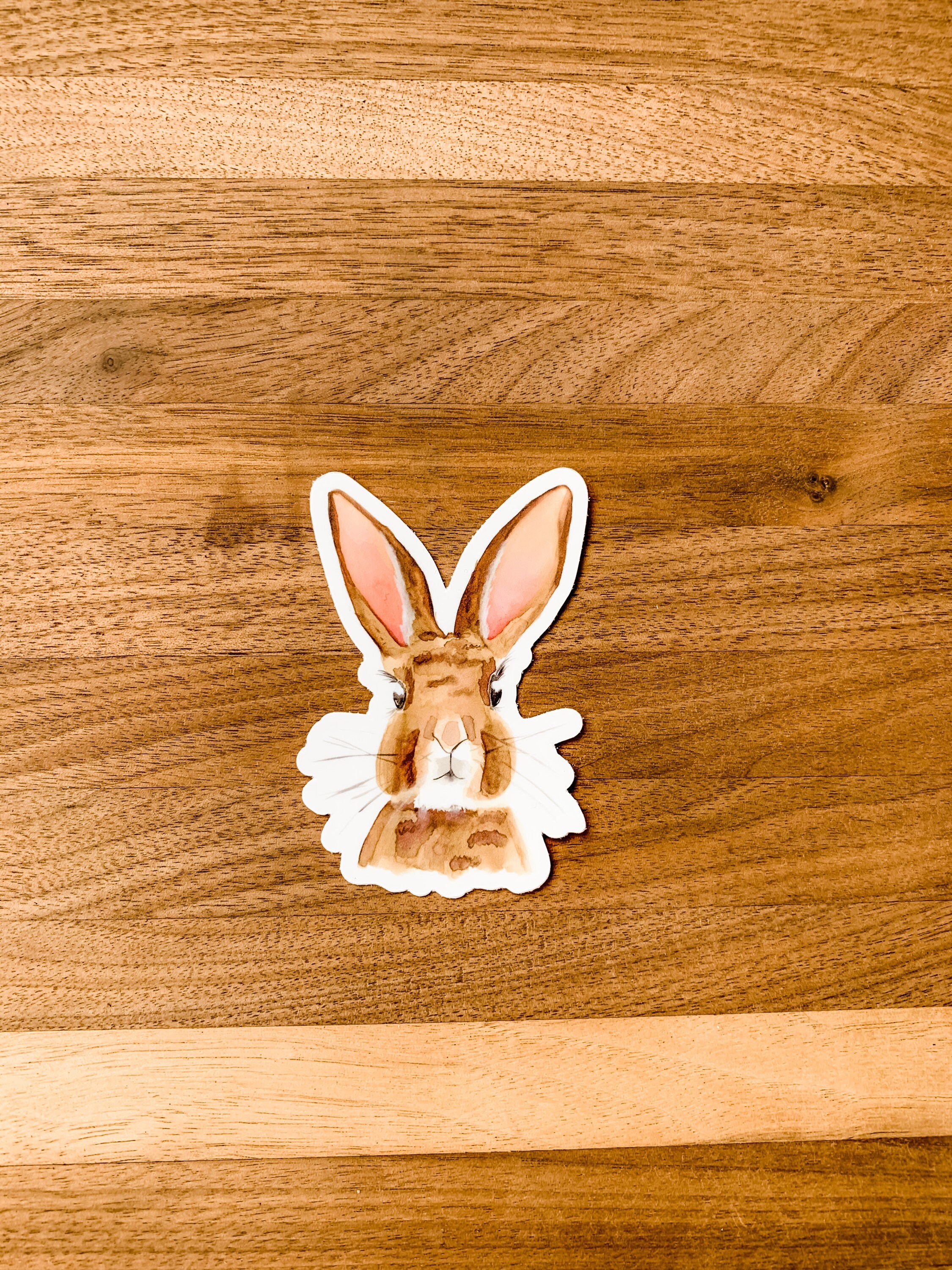 Bunny Stickers/magnets - Etsy