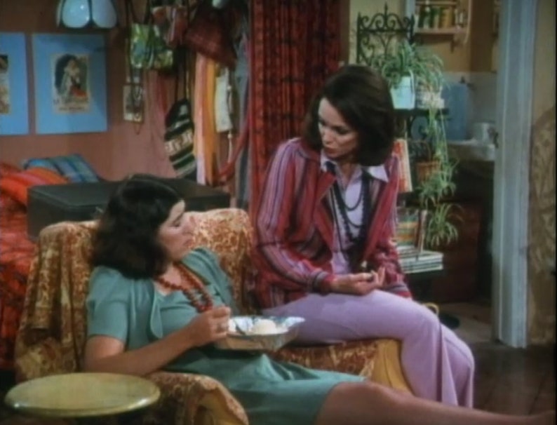 Rhoda TV Series 1974 1978 Complete Original Series All 5 - Etsy