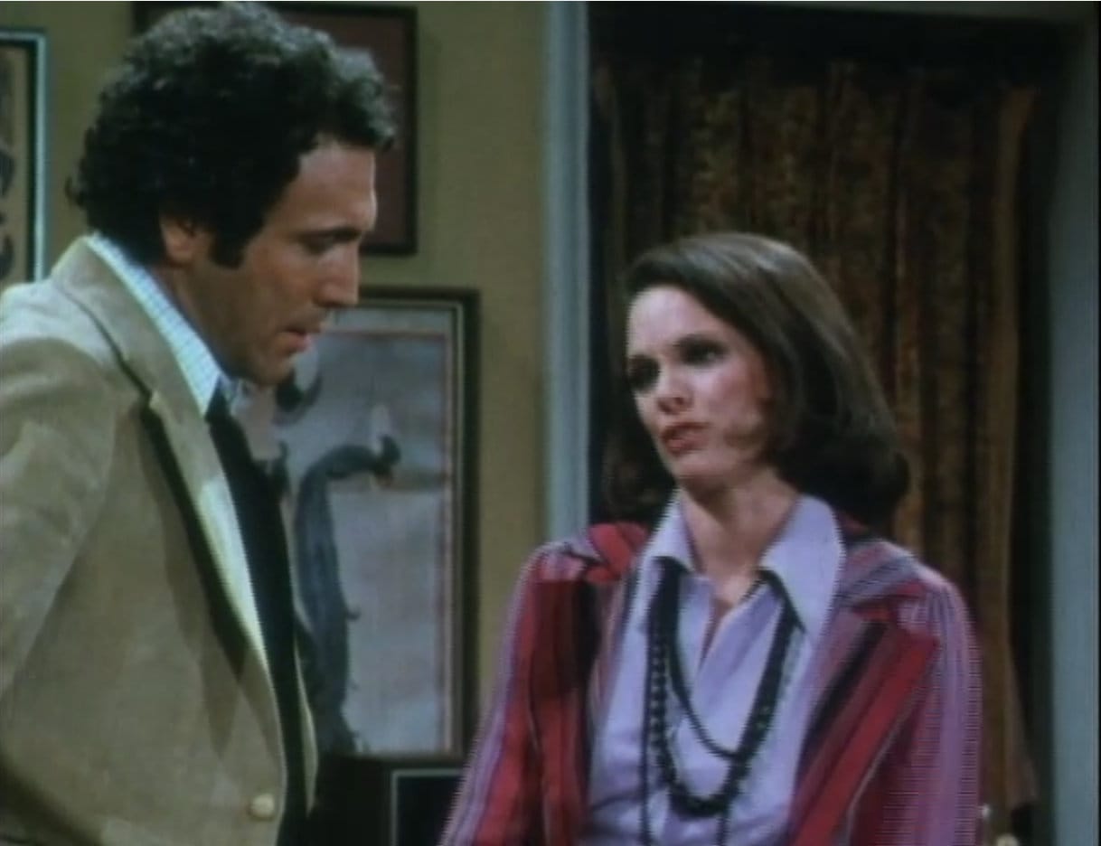 Rhoda TV Series 1974 1978 Complete Original Series All 5 - Etsy