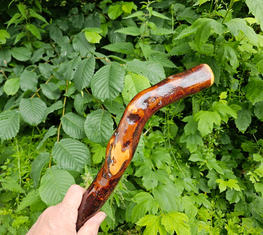 Rustic Irish Blackthorn Walking Stick - Etsy