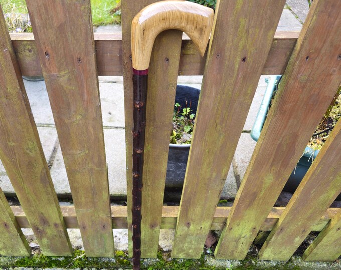 A Stunning Irish Blackthorn Walking Stick With an Irish Oak Handle With ...