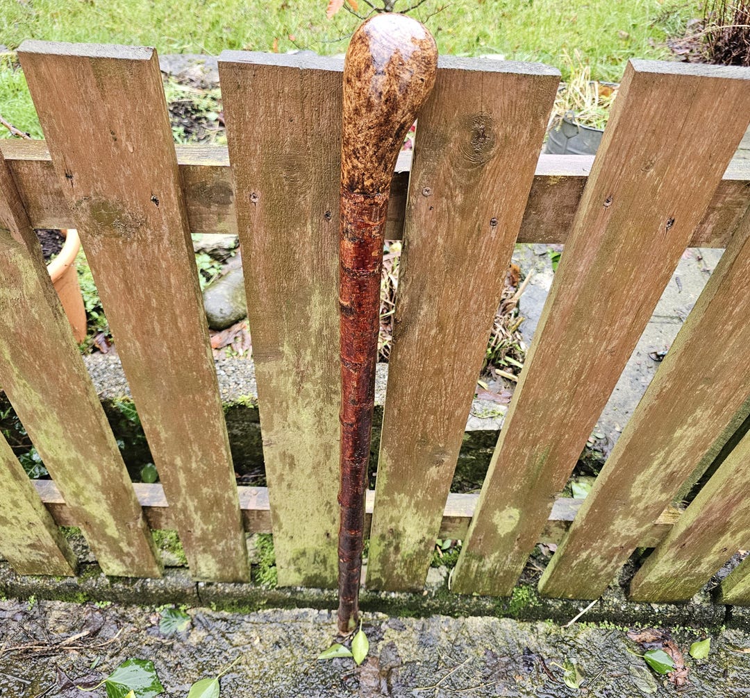 Irish Silver Birch Walking Stick Hand Crafted From Ireland - Etsy