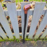 Irish Blackthorn Walking Stick | Cane Irish | Wood Hiking Cane ...