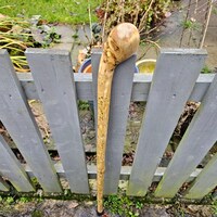 Irish Blackthorn Walking Stick | Cane Irish | Wood Hiking Cane ...