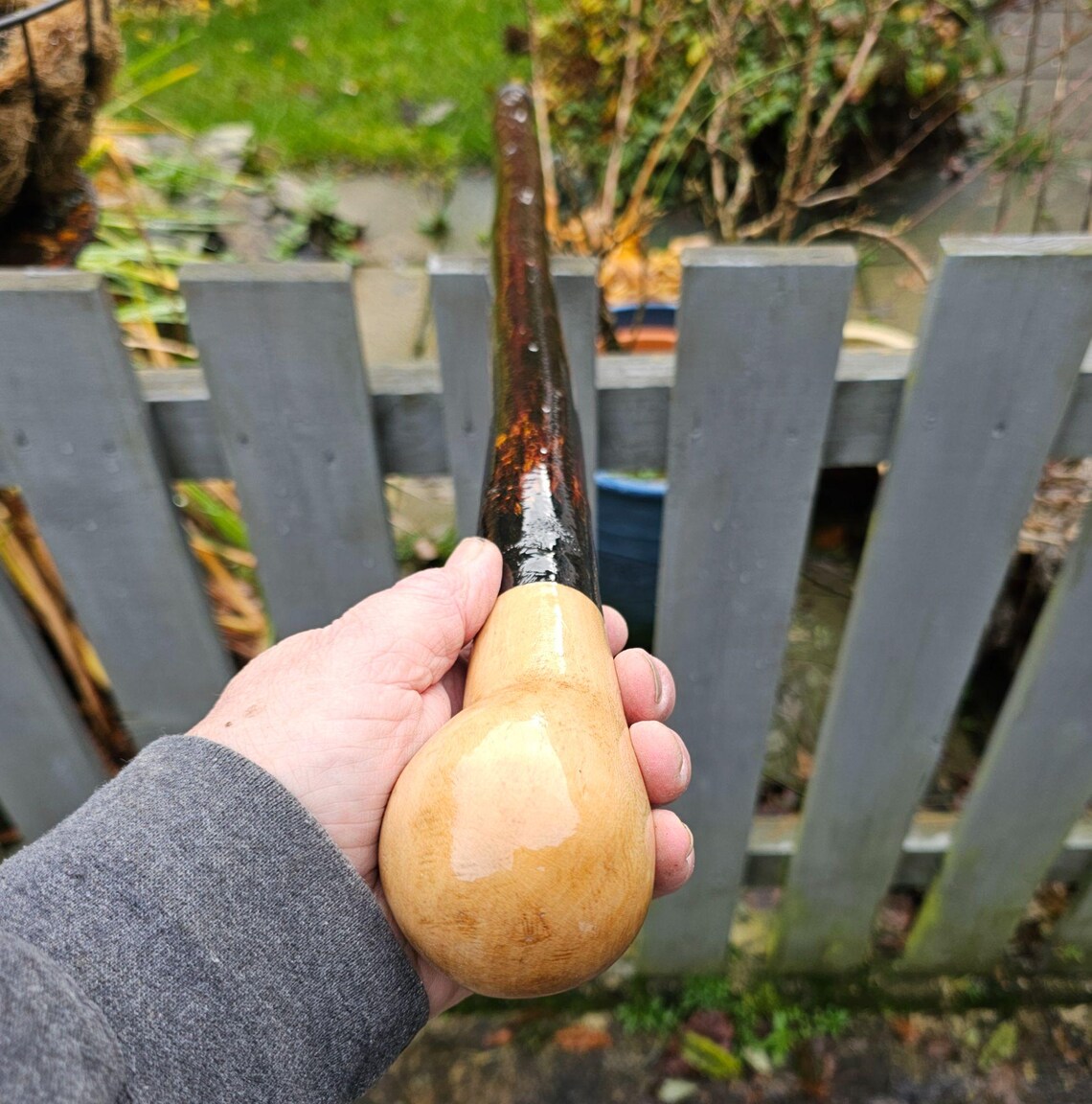 Traditional Irish Blackthorn Walking Stick With an Irish Holly Handle ...