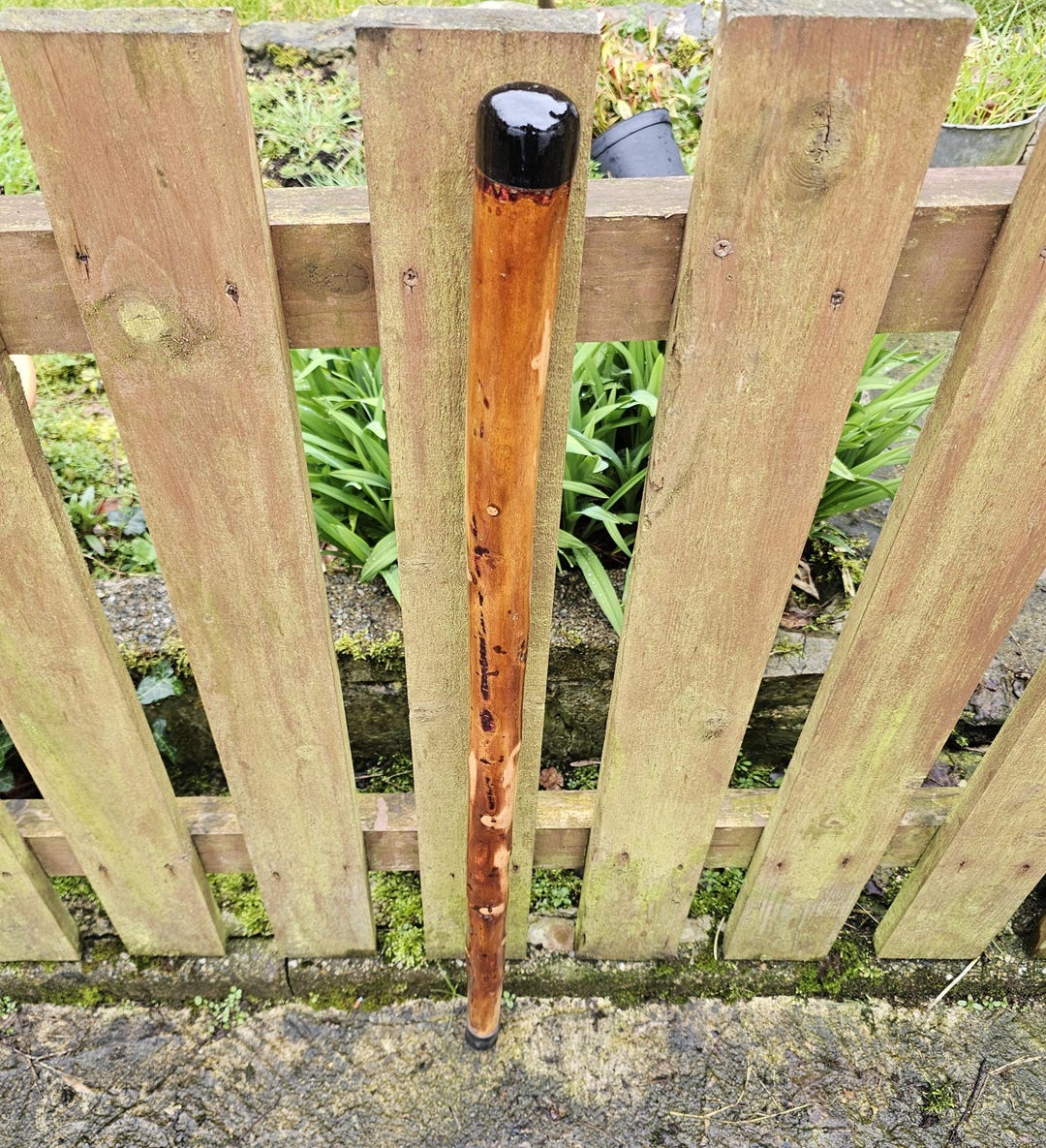 A Stunning Rare Irish Blackthorn Walking Stick With a 5000 Year Old ...