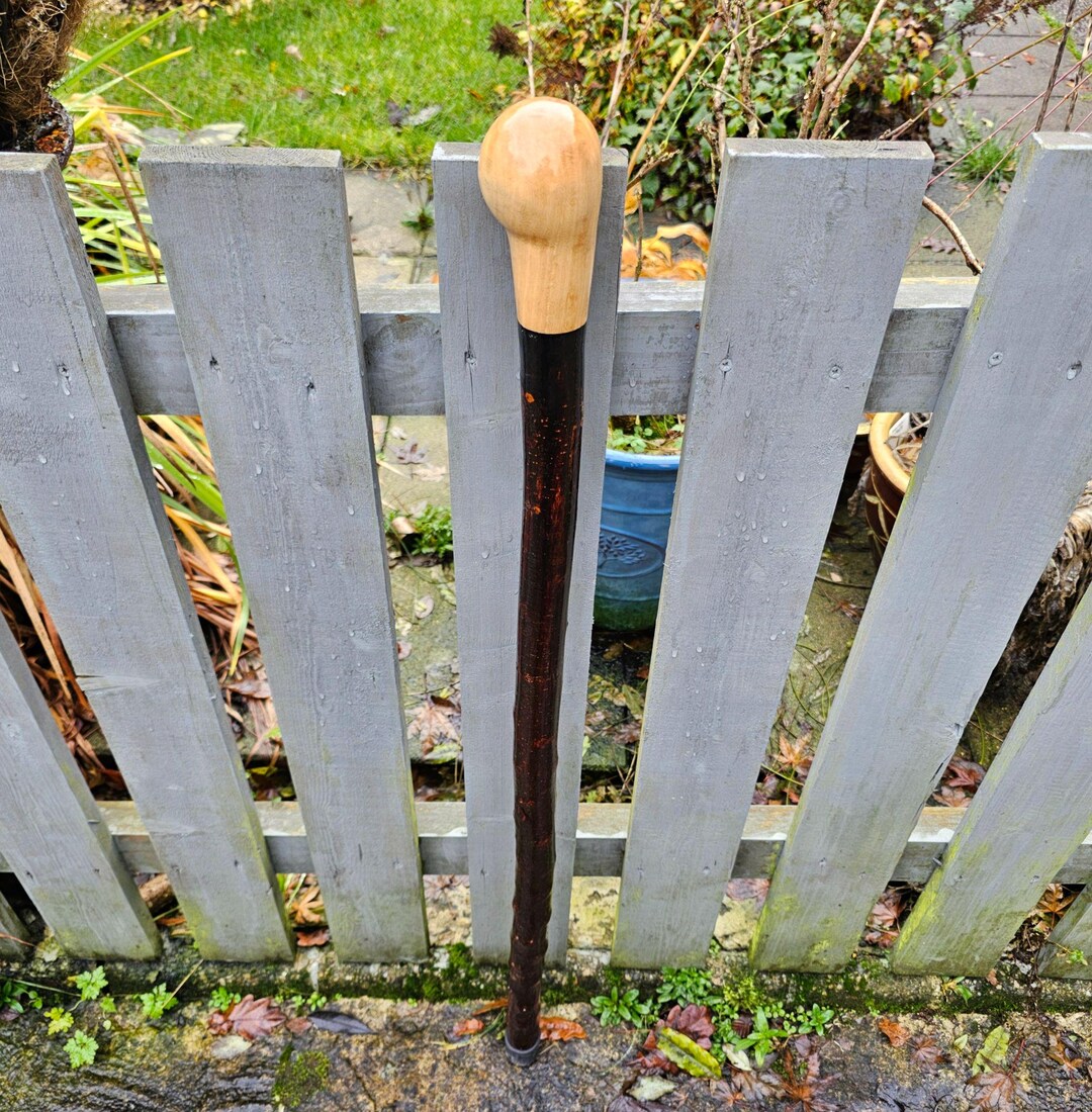 Traditional Irish Blackthorn Walking Stick With an Irish Holly Handle ...