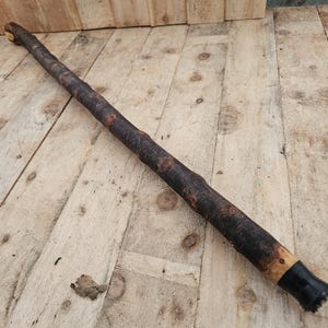A Stout Irish Blackthorn Walking Stick With 3 Coats of Tung Oil ...