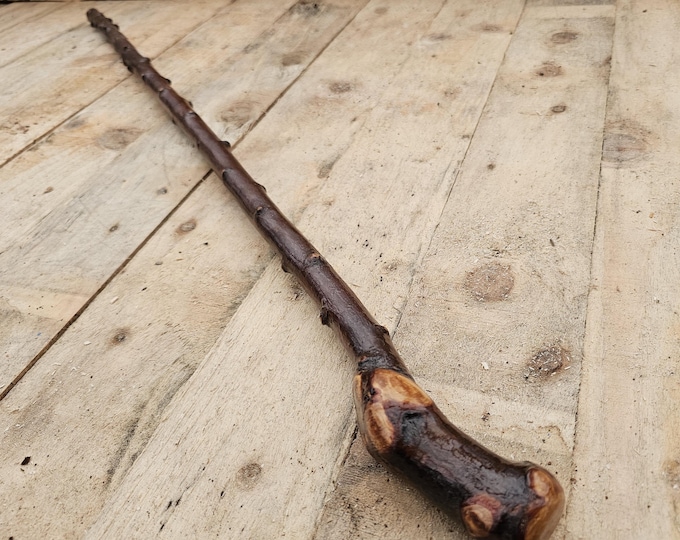 A Thorny Irish Blackthorn Walking Stick Hand Crafted From Ireland - Etsy