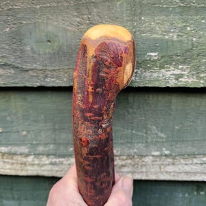 A Stout Irish Blackthorn Walking Stick With 3 Coats of Tung Oil ...