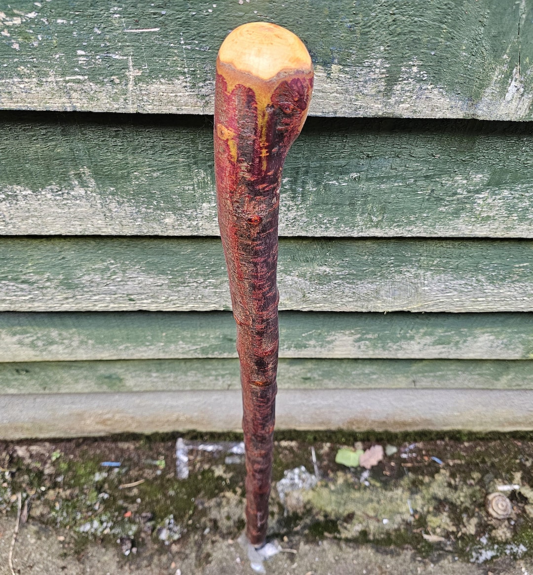 A Stout Irish Blackthorn Walking Stick With 3 Coats of Tung Oil ...