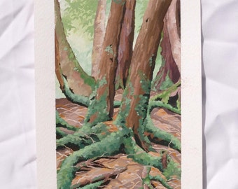 Beech Tree Roots High Quality Fine Art Print giclée of Original ...