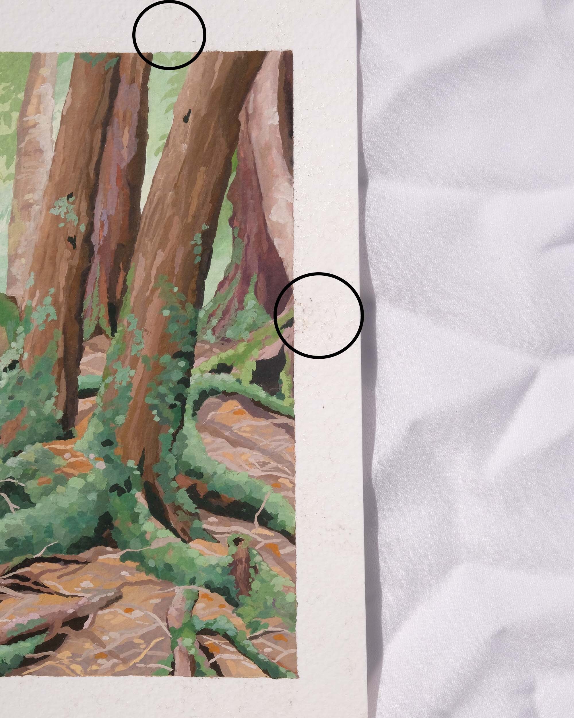 Tree Roots Original - Etsy