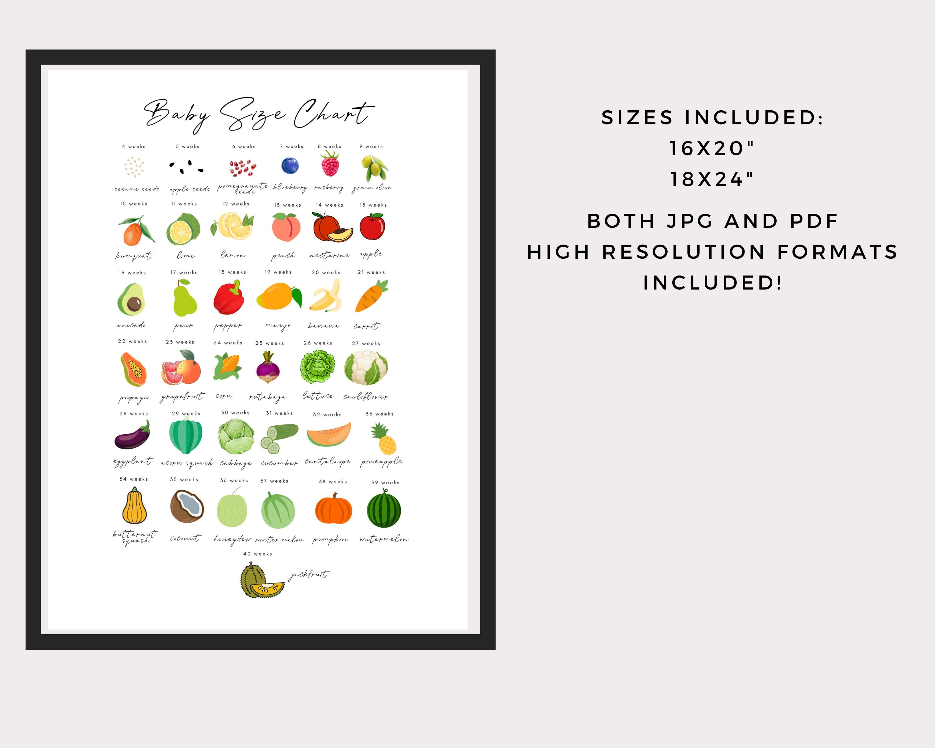 Baby Size Chart, Fruit Pregnancy Milestone Chart, Baby Growth Tracker ...