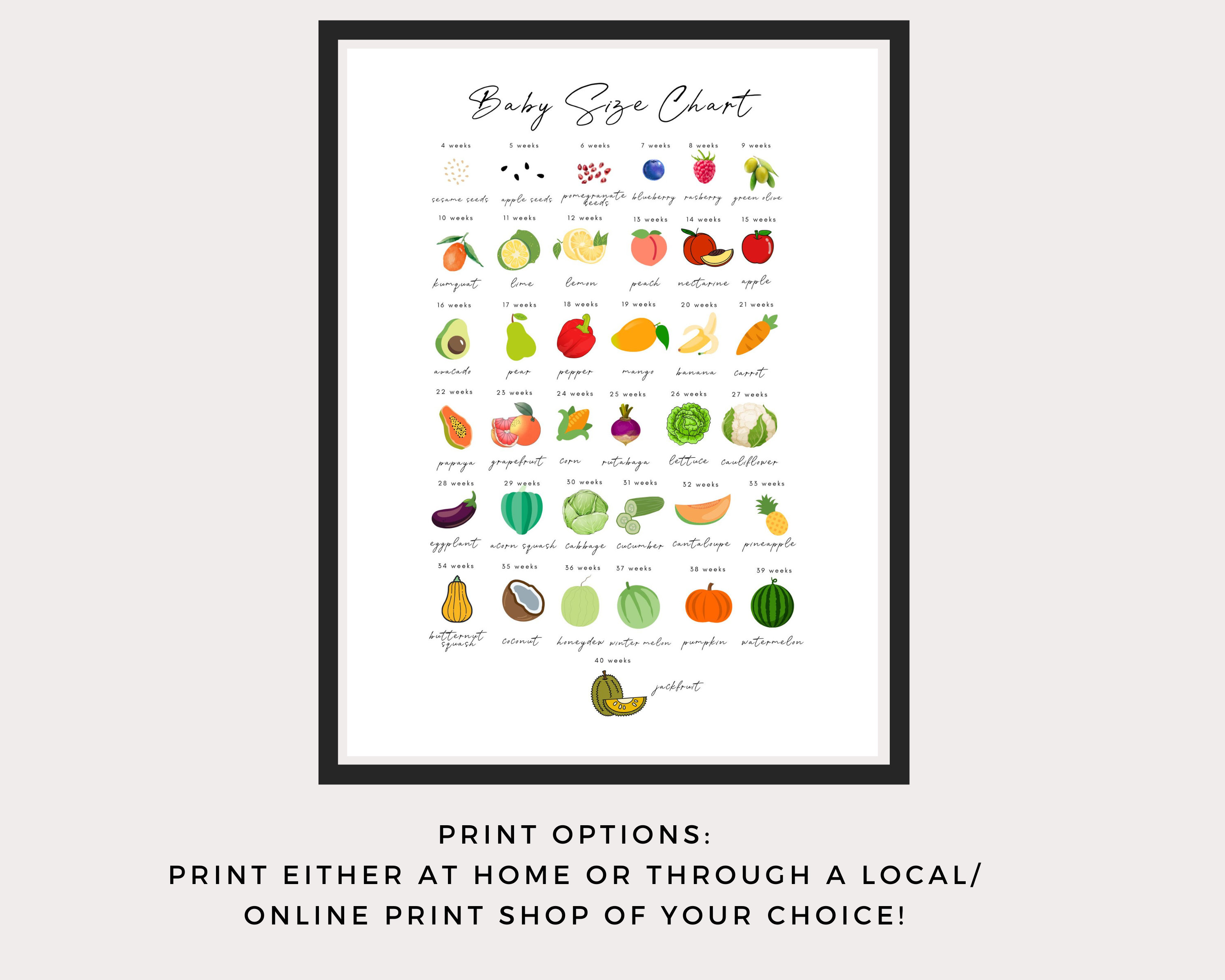 Baby Size Chart, Fruit Pregnancy Milestone Chart, Baby Growth Tracker ...