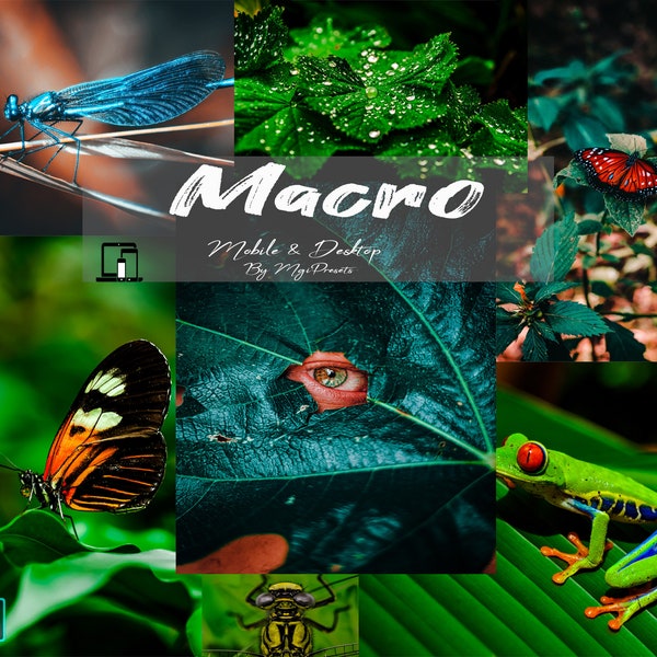 Macro Photography - Etsy