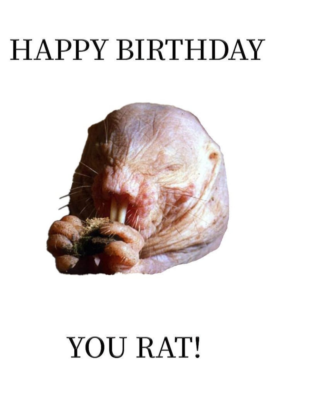 Unique and Funny Naked Mole Rat Birthday Card Perfect for - Etsy