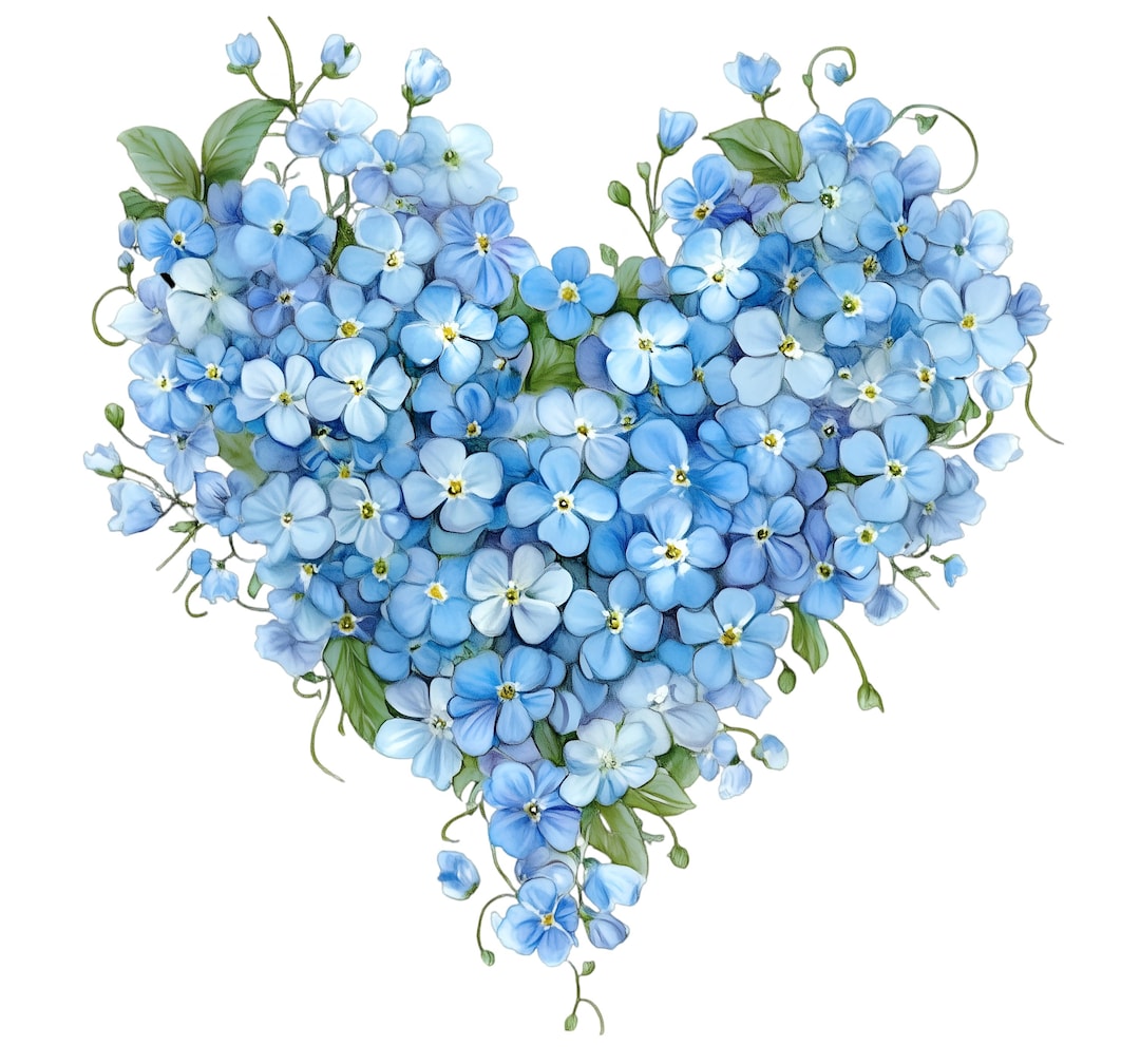 Forget Me Not Heart Clipart | 15 Blue Floral Pngs | Watercolor Flowers ...