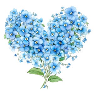 Forget Me Not Heart Clipart | 15 Blue Floral Pngs | Watercolor Flowers ...