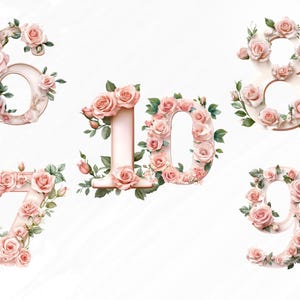 Wildflowers Alphabet PNG, Wild Flowers Number PNG, Blush Floral ...