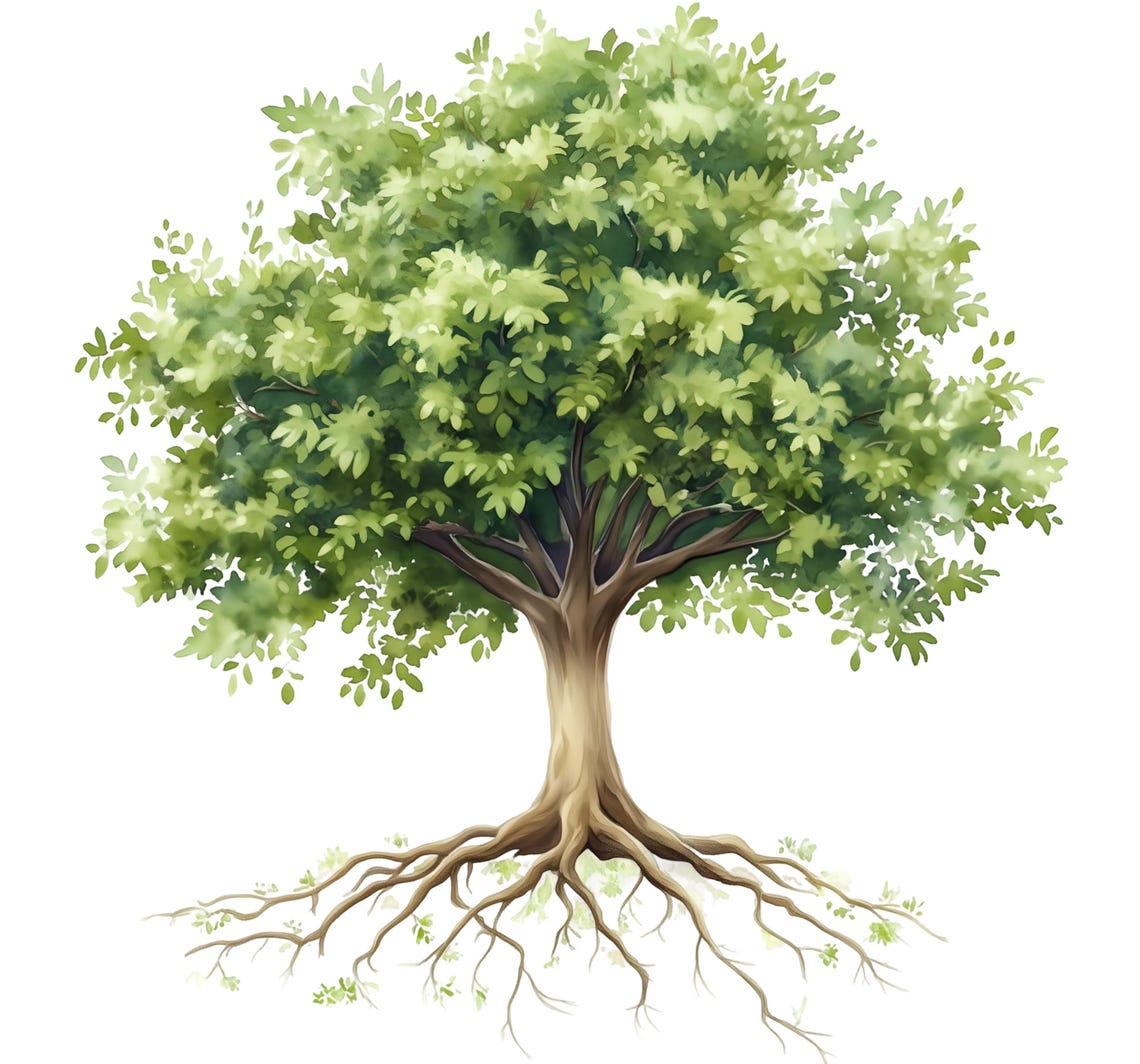 25 Tree of Life With Roots PNG, Green Tree Clipart Bundle, Oak Family ...