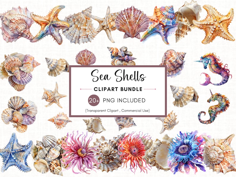 30 Sea Shells Clipart, Watercolor Seashells Clipart Bundle, High ...