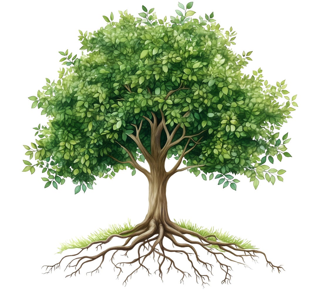 25 Tree of Life With Roots PNG, Green Tree Clipart Bundle, Oak Family ...