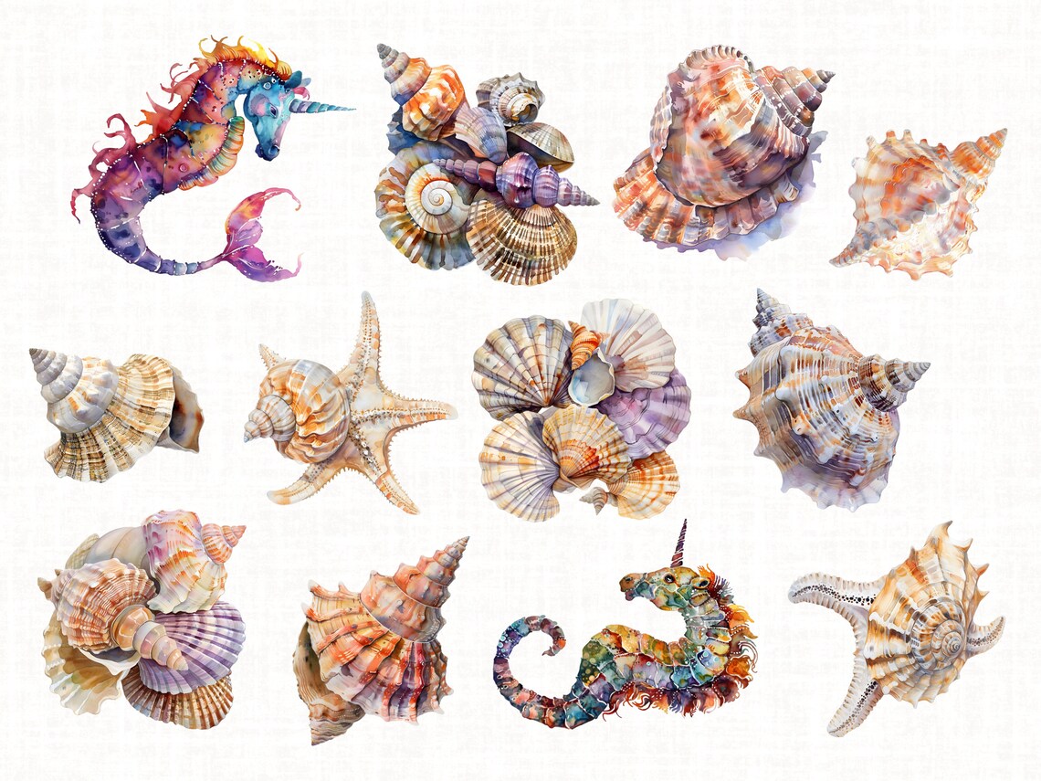 30 Sea Shells Clipart, Watercolor Seashells Clipart Bundle, High ...