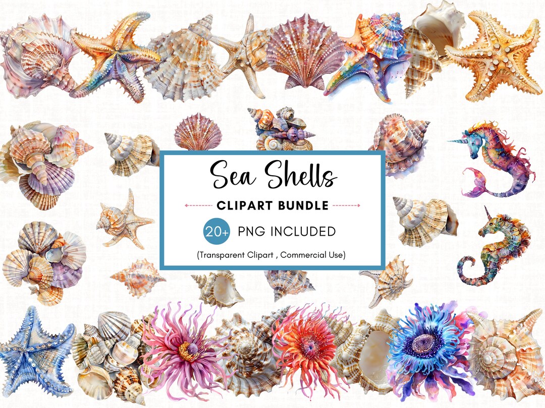 30 Seashells Clipart, Watercolor Seashells Clipart Bundle, High Quality ...
