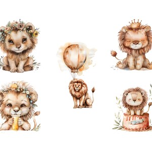 Watercolor Cute Baby Lion Clipart, Baby Lion PNG, Little Animal, Boy or ...