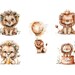 Watercolor Cute Baby Lion Clipart, Baby Lion PNG, Little Animal, Boy or ...