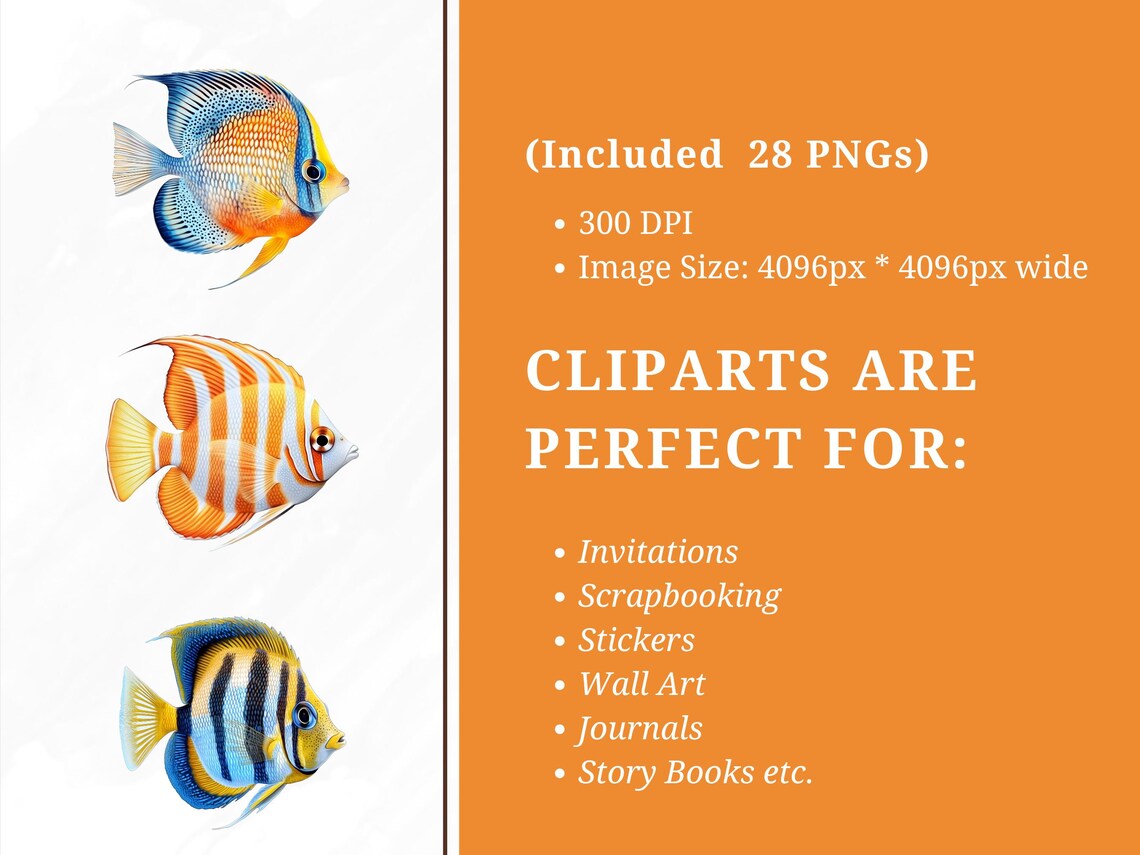 Watercolor Butterfly Fish Clipart Bundle, 28 Tropical Fish Pngs With ...
