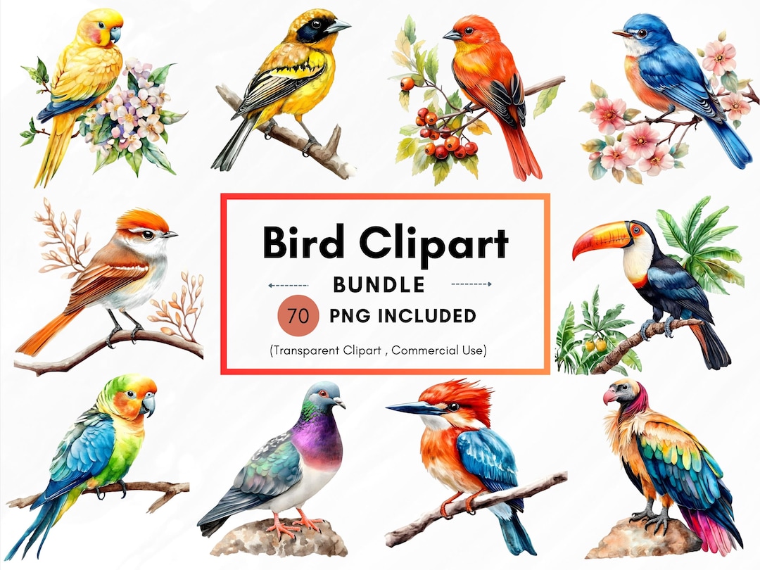 70 Watercolor Birds PNG Clipart Bundle, Vibrant Watercolor Bird ...