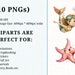 Under the Sea Clipart Bundle, Cute Sea Animals PNG, Ocean Sea Animals ...