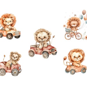 Watercolor Cute Baby Lion Clipart, Baby Lion PNG, Little Animal, Boy or ...