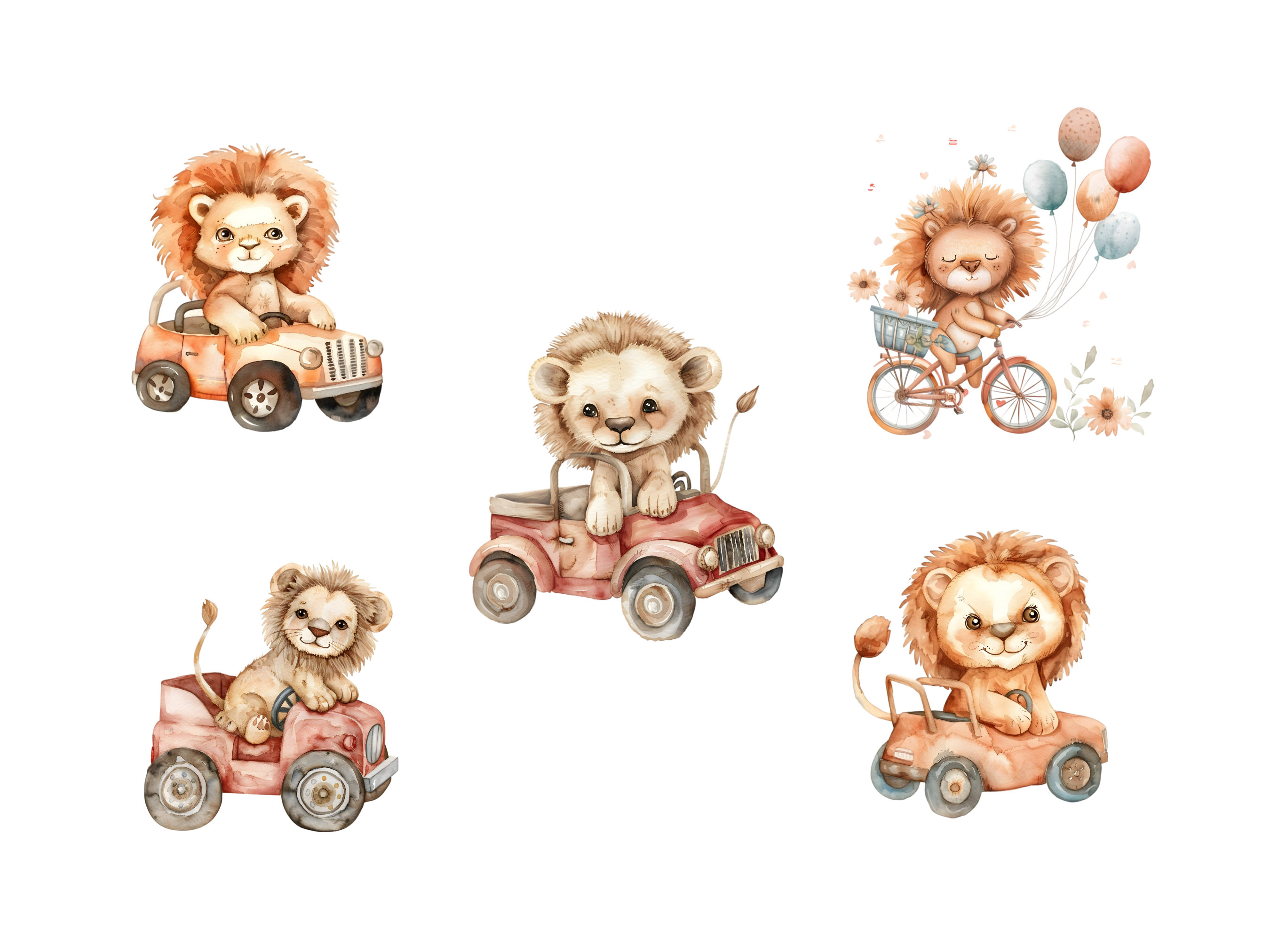 Watercolor Cute Baby Lion Clipart, Baby Lion PNG, Little Animal, Boy or ...