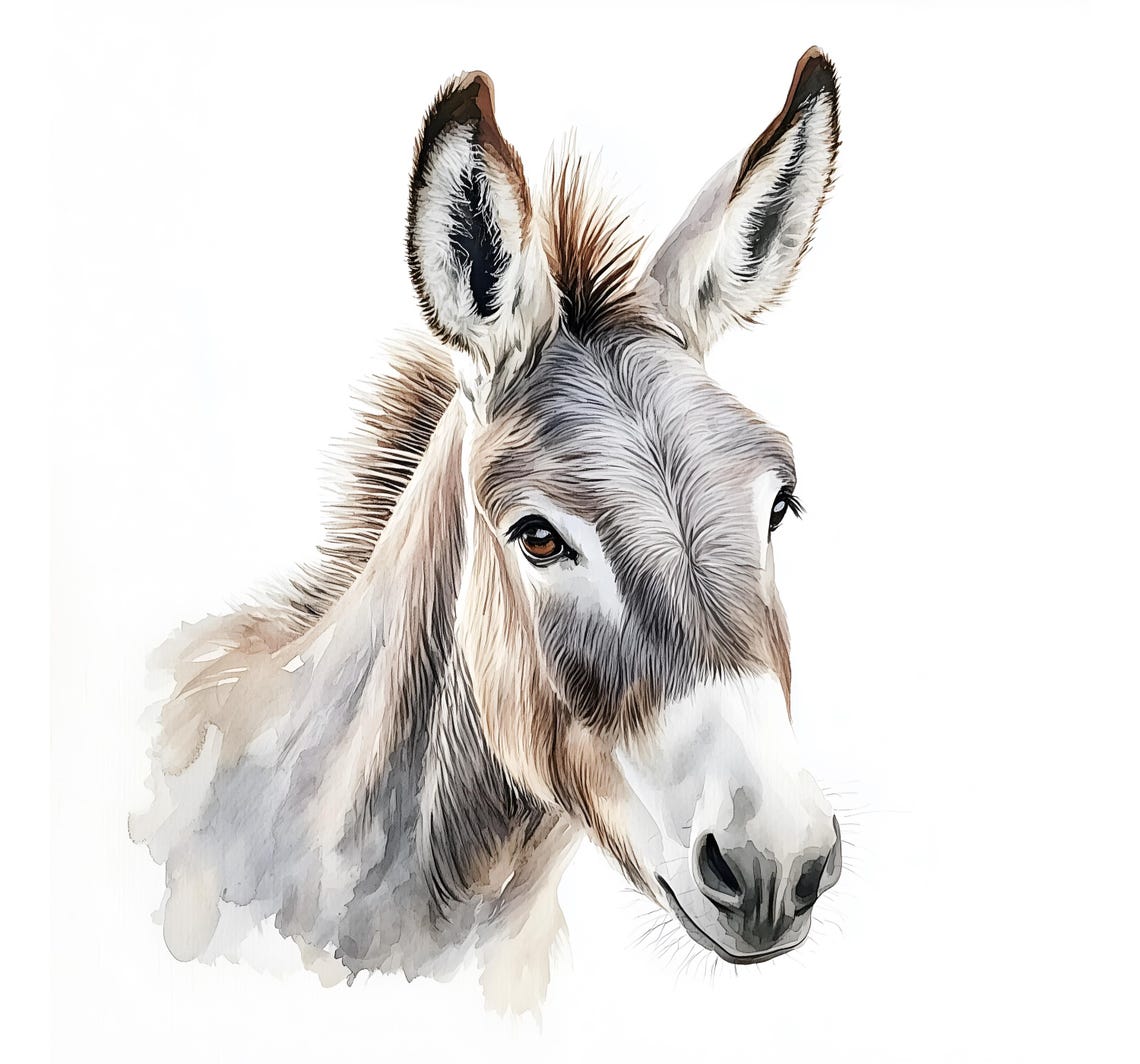 25 Donkey Portrait Clipart Jpgs, Donkey Illustration, Printable ...