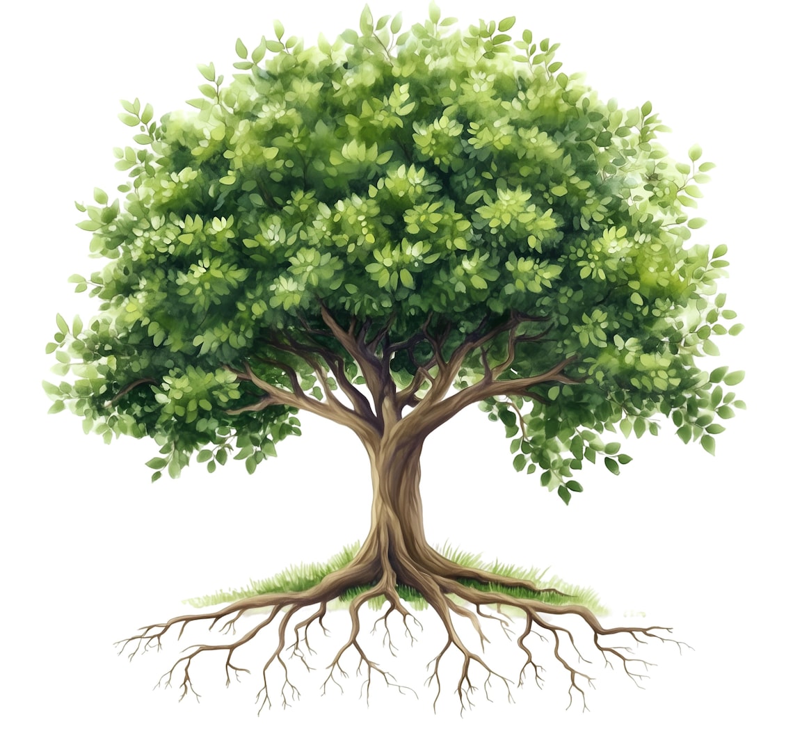 25 Tree of Life With Roots PNG, Green Tree Clipart Bundle, Oak Family ...