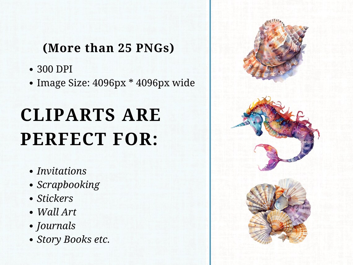 30 Sea Shells Clipart, Watercolor Seashells Clipart Bundle, High ...