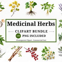 Dried Herbs Clipart,watercolor Herbs,hanging Herbs Png,culinary Herbs ...