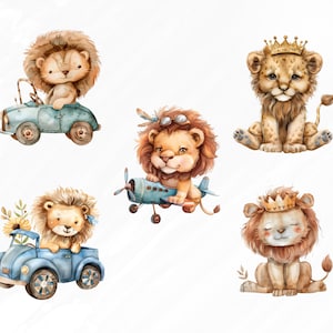 Watercolor Cute Baby Lion Clipart, Baby Lion PNG, Little Animal, Boy or ...