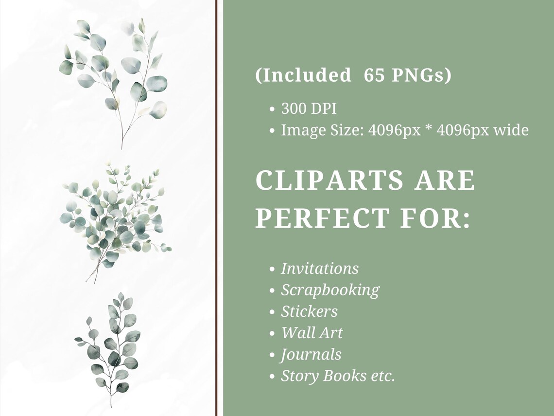Watercolor Eucalyptus Leaves Clipart, Eucalyptus PNG, Greenery Leaves ...