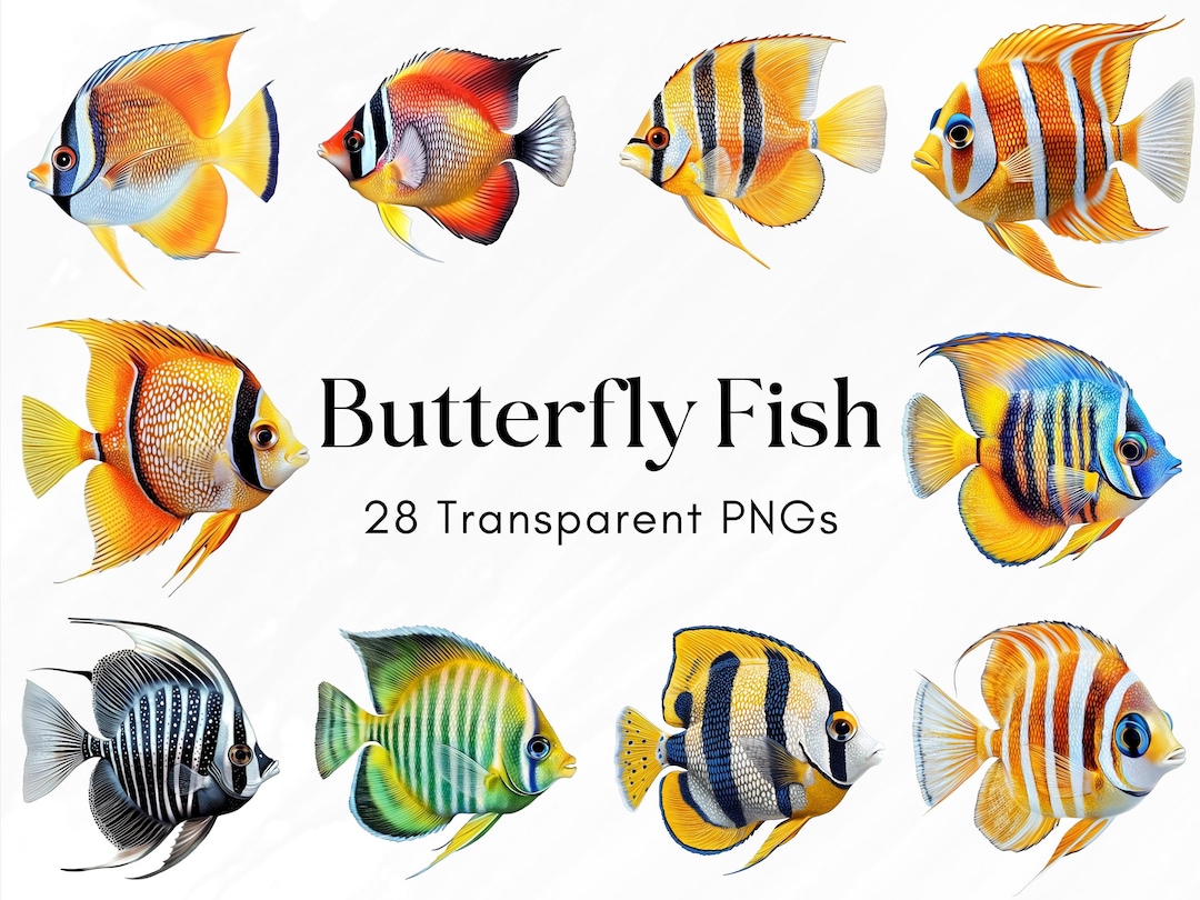 Watercolor Butterfly Fish Clipart Bundle, 28 Tropical Fish Pngs With ...