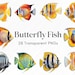Watercolor Butterfly Fish Clipart Bundle, 28 Tropical Fish Pngs With ...